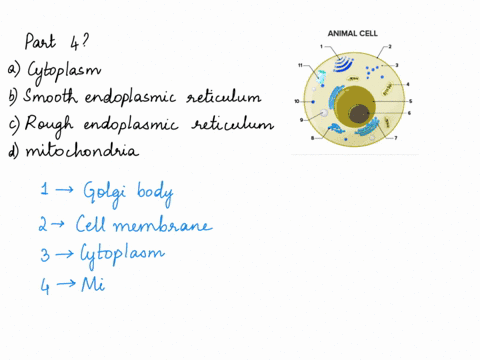Module 1 lab assessment cell structure and function 10 where...