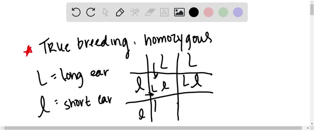 SOLVED: Problem 3 You're a dog breeder looking to understand the ...