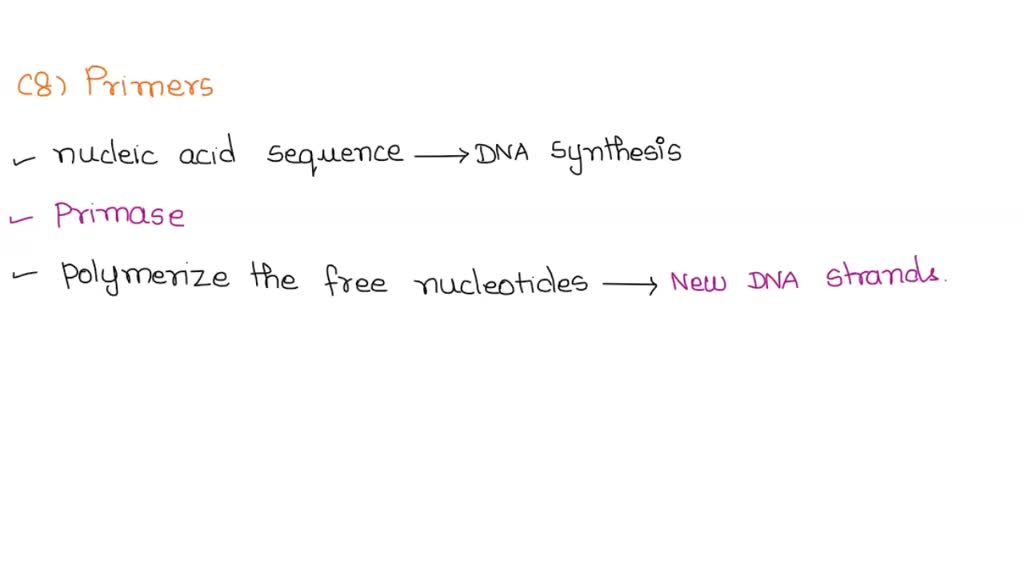 SOLVED: in PCR reactions, what function do the primer serve? how do ...