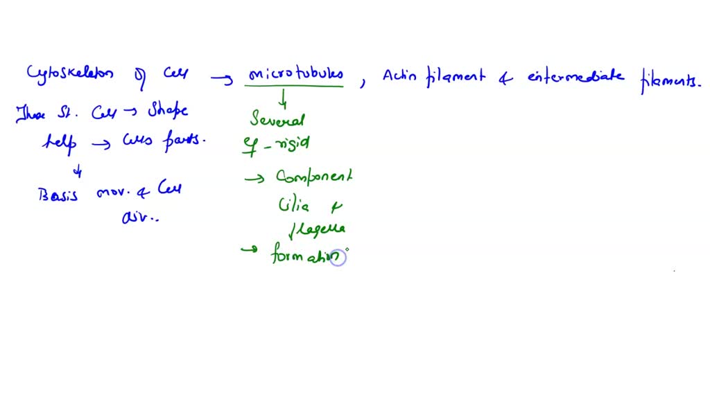 SOLVED: Explain the structural composition and functions of ...