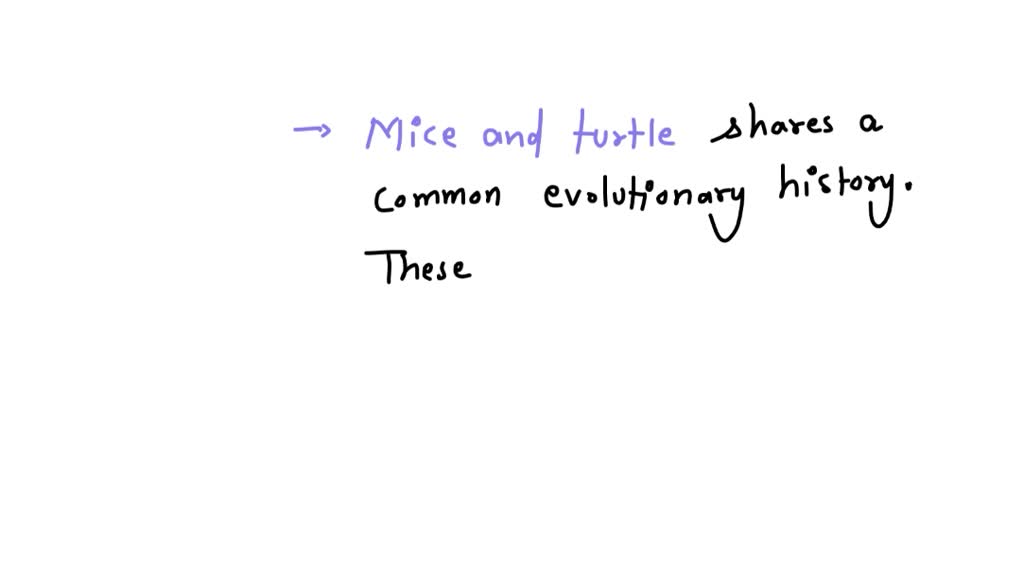 SOLVED: You examine the embryos of a mouse and a turtle, and notice ...