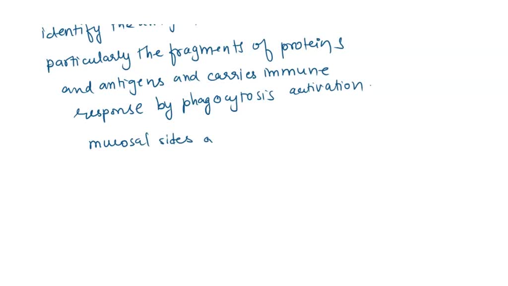 SOLVED: Art-labeling Activity: Figure 17.10 Monocyte Neutrophil Basophil Eosinophil Lymphocyte ...