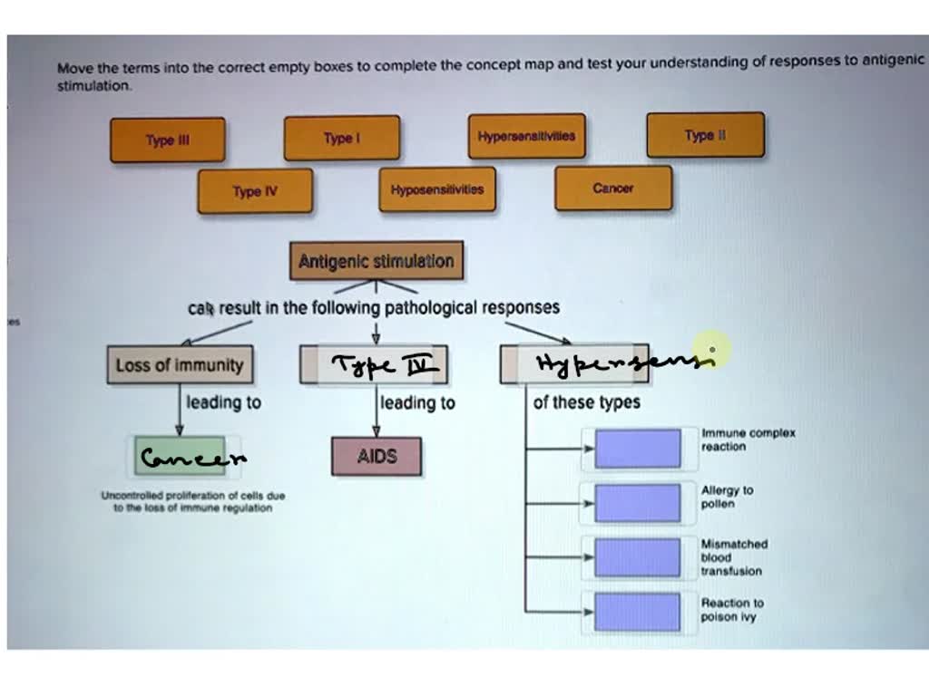 SOLVED: Text: Complete the concept map and list your understanding of responses antigenic move ...