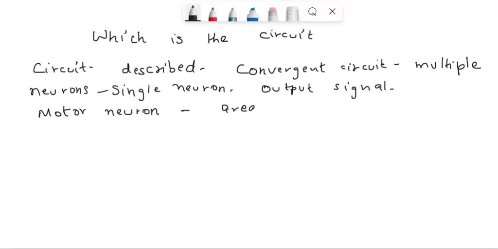 SOLVED: Question 23 (1 point): A motor neuron typically receives input ...