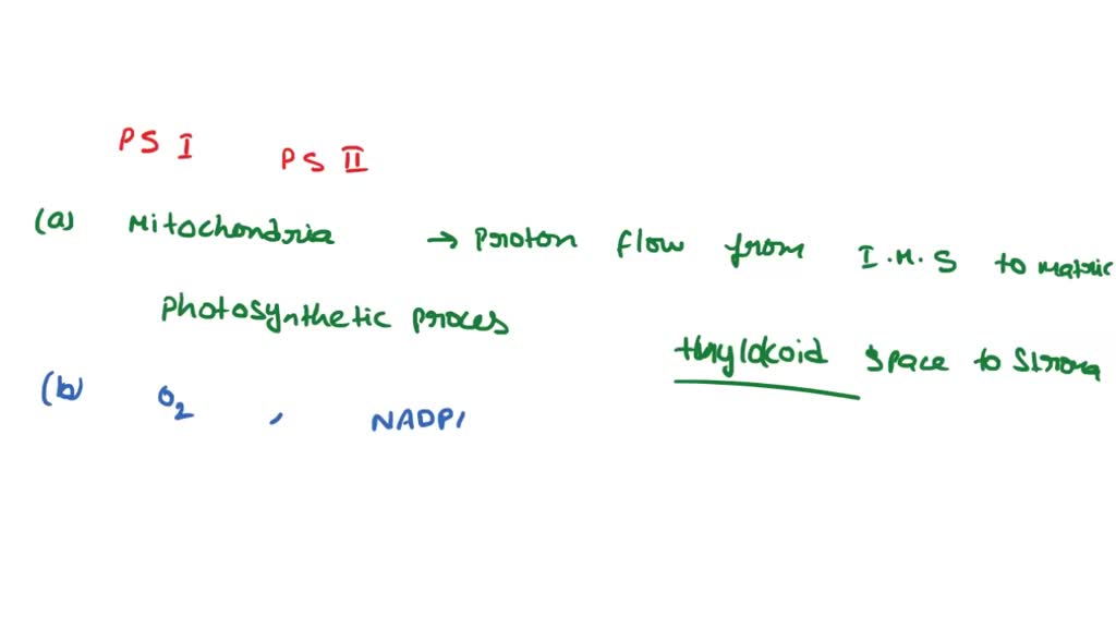 SOLVED: Compare and contrast the PSI/PSII complex of photosynthesis to ...