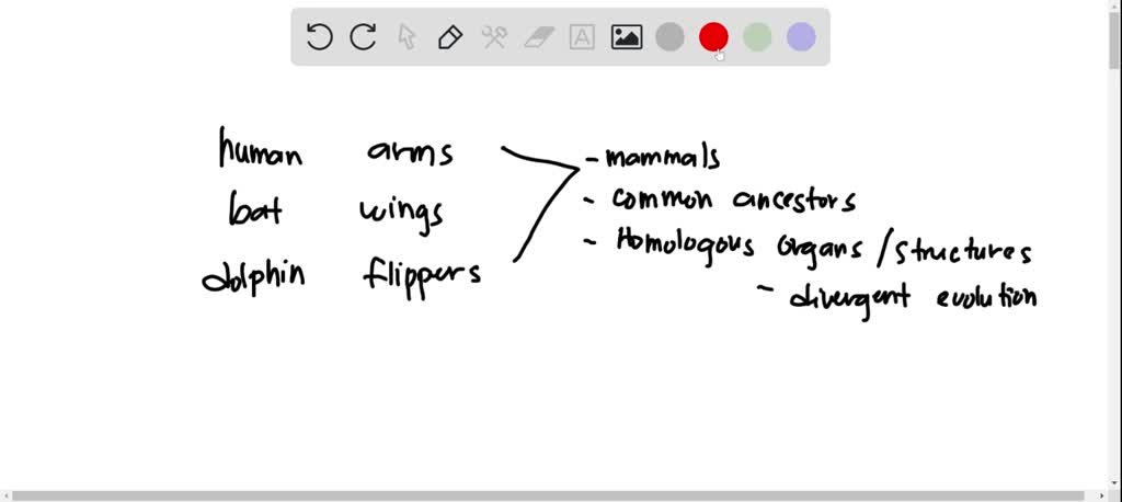 SOLVED: Structures as different as human arms, bat wings, and dolphin ...