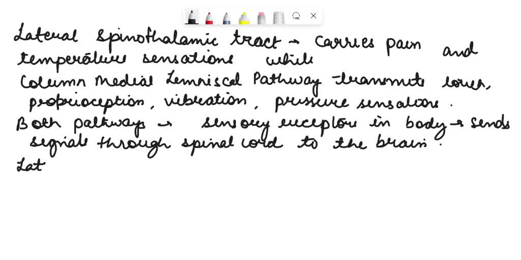 SOLVED: Draw the spinocerebellar pathway, dorsal column-medial ...