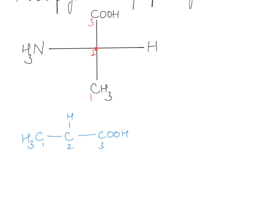 SOLVED:(16) Convert the following Fischer projection to a perspective ...