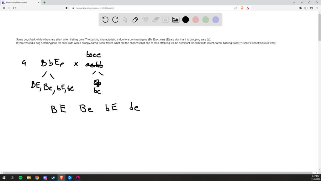 Some dogs bark while others are silent when trailing prey. The barking ...