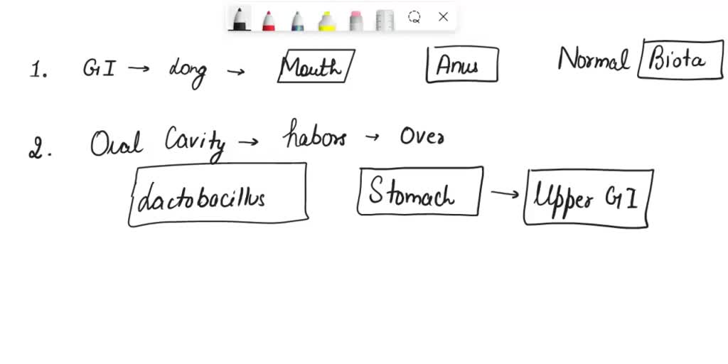 Examine the natural defenses and normal biota of the gastrointestinal ...