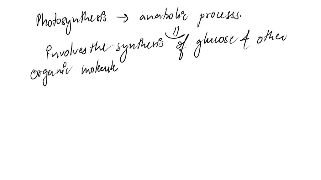 SOLVED: Photosynthesis is anabolic process, redox reaction, or all of ...