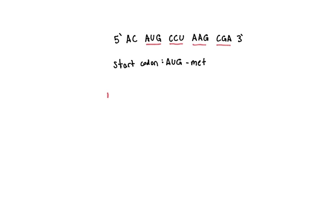 SOLVED: Three-base sequence in mRNA that links with complementary tRNA molecules, which are ...