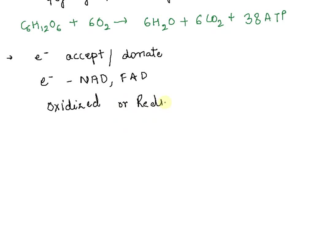 SOLVED: Explain the redox reaction of FAD and NAD in detail, which is ...
