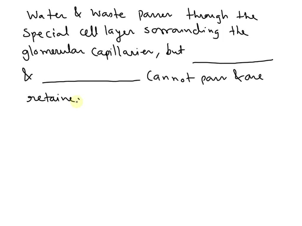 SOLVED: Water and waste passes through the special cell layer ...