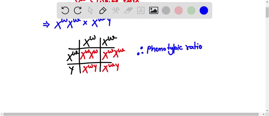 SOLVED: Please draw a Punnett Square indicating a cross between a ...