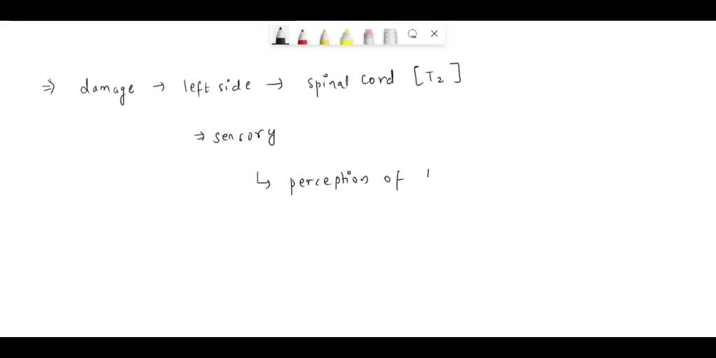 SOLVED: If someone sustained damage to the left side of their spinal ...