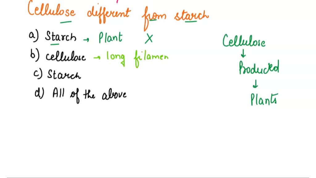 SOLVED: What is the difference between starch and cellulose? Group of ...
