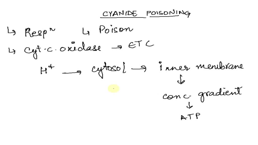 SOLVED: Given what you now know about the action of cyanide on cellular ...