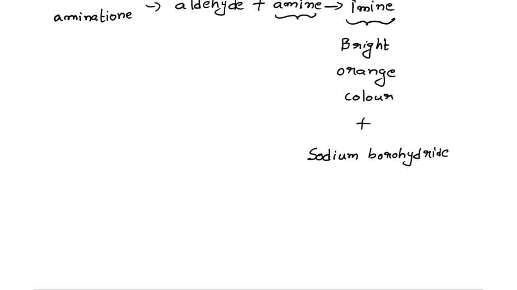 SOLVED: During reductive amination, why is the imine created a bright ...