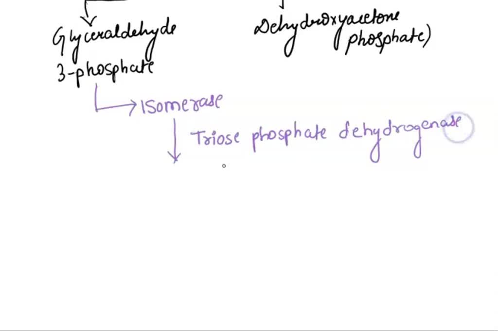SOLVED: Glycolysis: List all the reaction steps (reactants and products ...