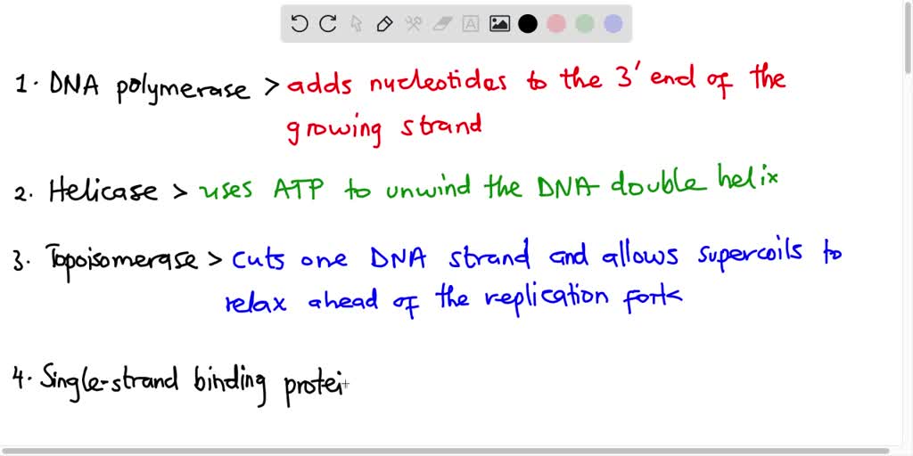 SOLVED: Which answer choice correctly matches the molecules with their ...