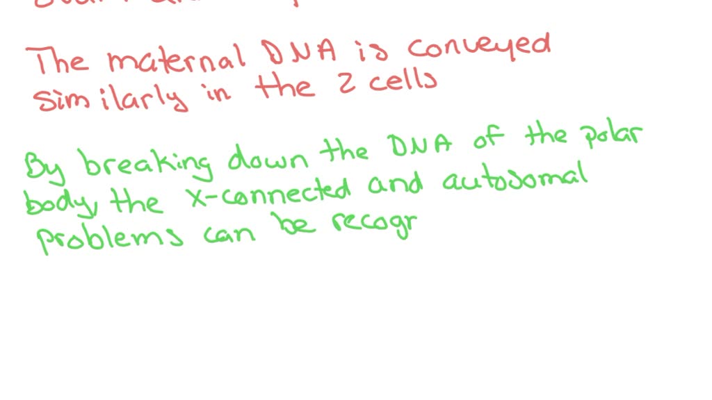 Suppose you are analyzing the DNA from the polar bodies formed during ...