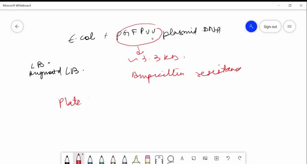 SOLVED: In a transformation experiment, you mix E. coli competent cells ...