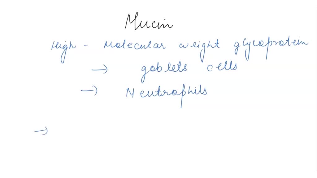 SOLVED: The route of synthesis to secretion taken by mucin as it ...
