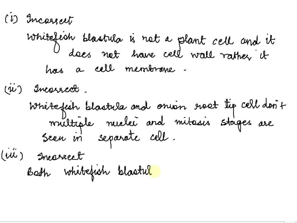 SOLVED: What do Whitefish Blastula (Whitefish embryos) cells and Allium ...
