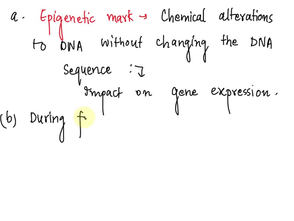 Video Solution 13 What Is A Genetic Marker 14 What Is A