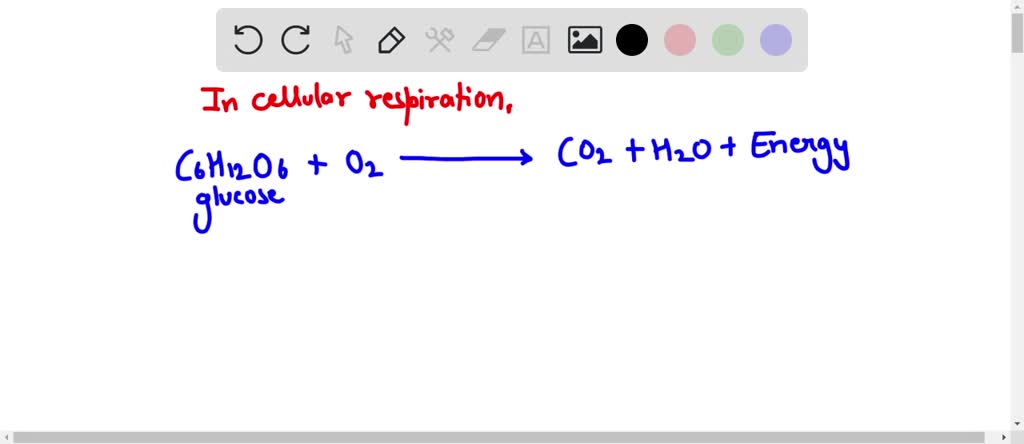 SOLVED: The equation shows cellular respiration. During cellular ...