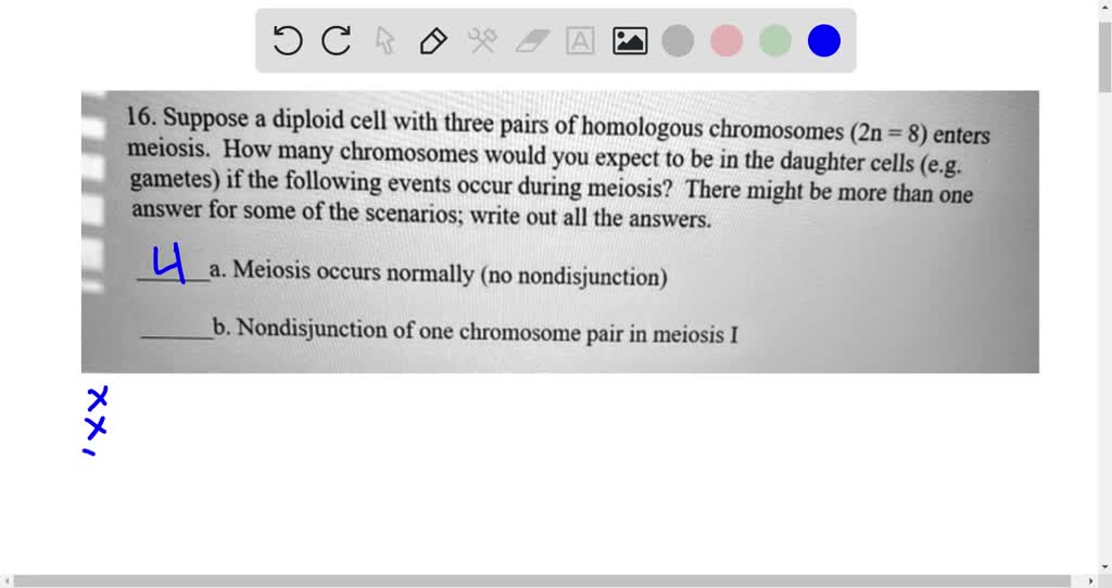 SOLVED: 16. Suppose a diploid cell with three pairs of homologous chromosomes (Zn = 8) meiosis ...