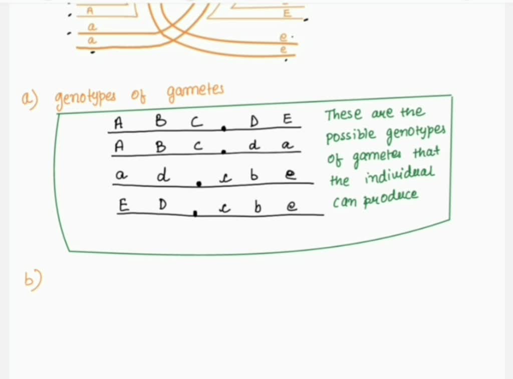 SOLVED: An individual is heterozygous for a pericentric inversion, and ...