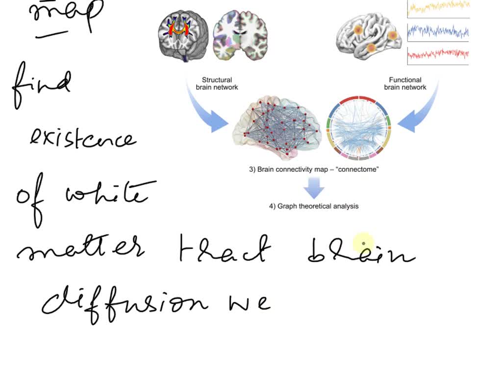 SOLVED: A 'structural connectivity' map across the six regions ...