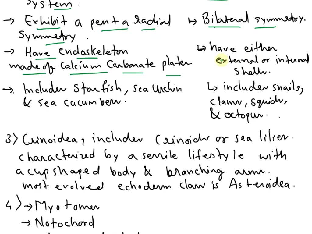 SOLVED: Learn the components of the water vascular system of a starfish ...