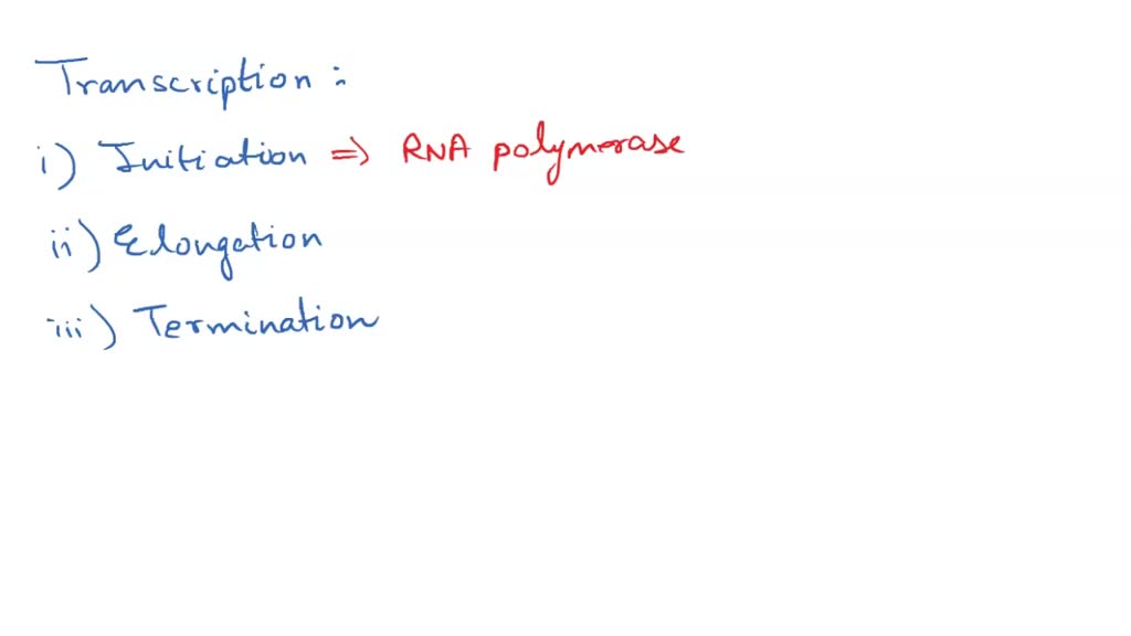 SOLVED: What is the role of a terminator sequence? Question options ...