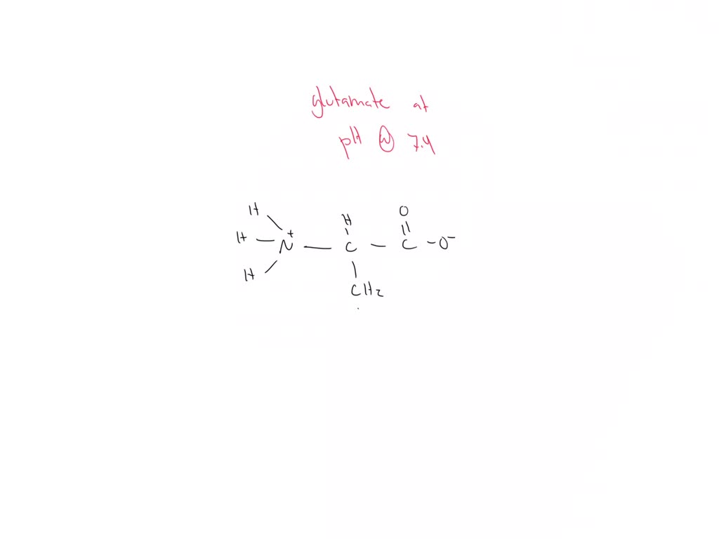 SOLVED An Amino Acid Backbone Is Shown Draw The Glutamate Side Chain solved-an-amino-acid-backbone-is-shown-draw-the-glutamate-side-chain