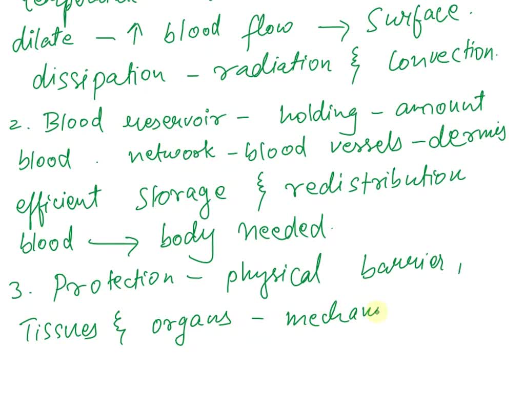 SOLVED: Describe how the skin contributes to the regulation of body ...