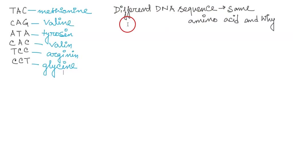 SOLVED: Examine the DNA triplets below and determine the amino acid ...