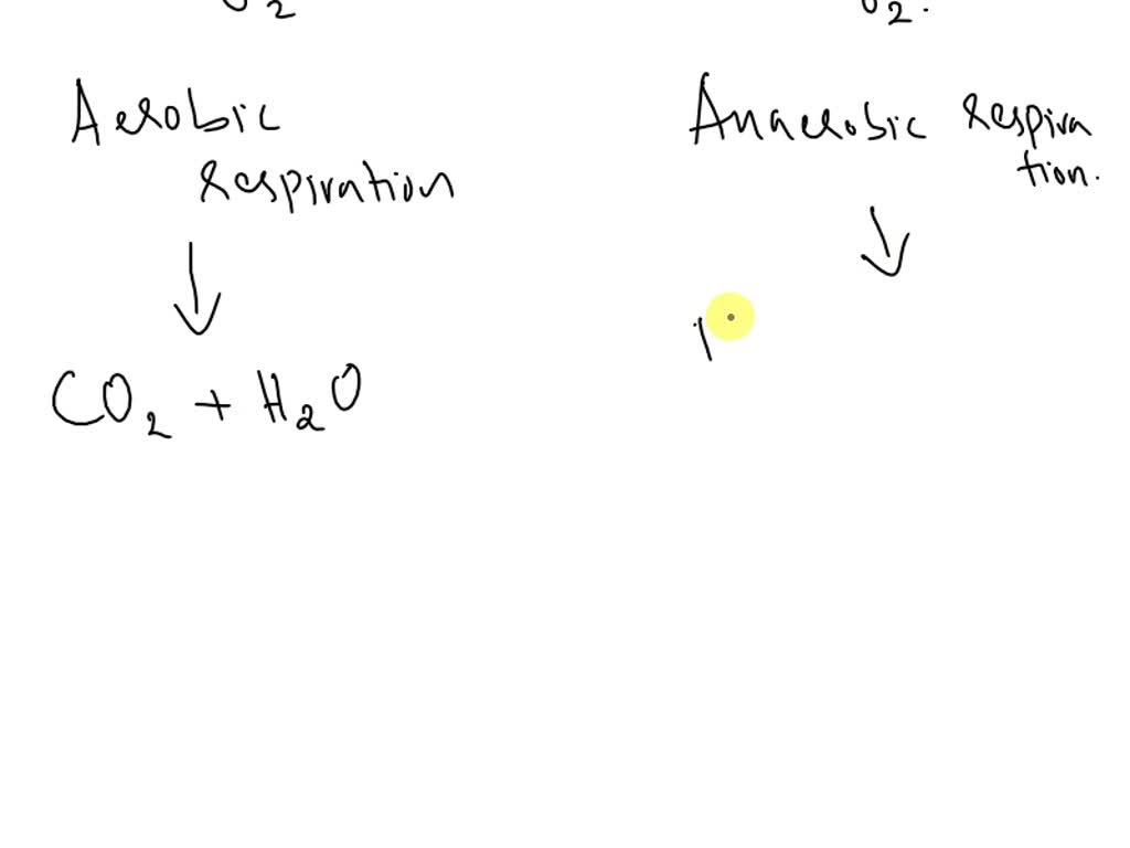 SOLVED: Draw a flow chart to show all possible fate of glucose in the presence and absence of ...
