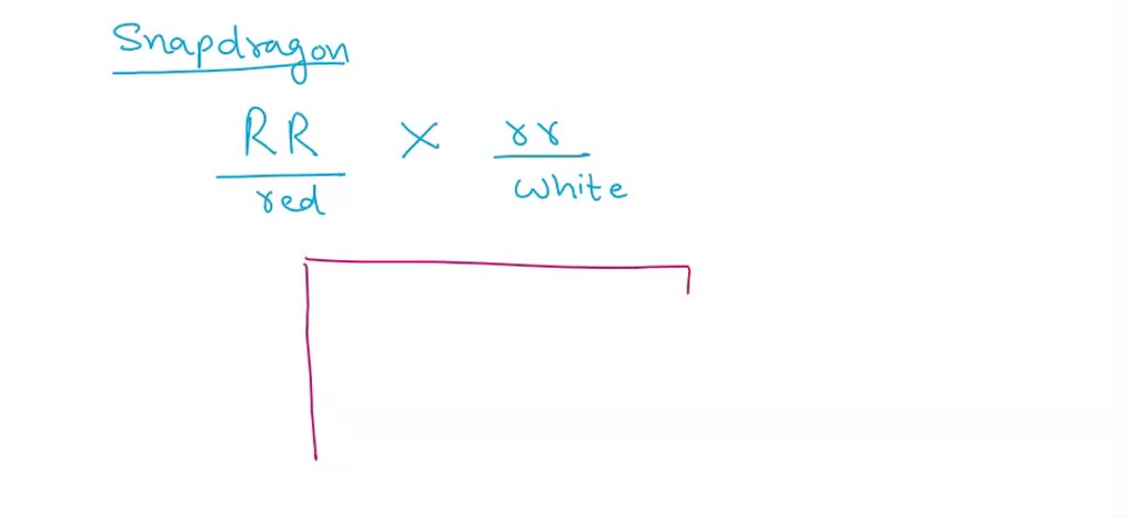 SOLVED: "Lab 3: Exercise 3" in your lab manual. You should have completed the Punnett Squares.