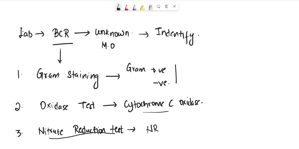 SOLVED: Texts: Your unknown specimen yields the following observations ...