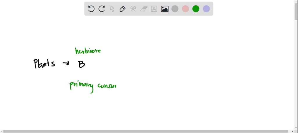 SOLVED: The following is a diagram of a food web. The directions of the ...