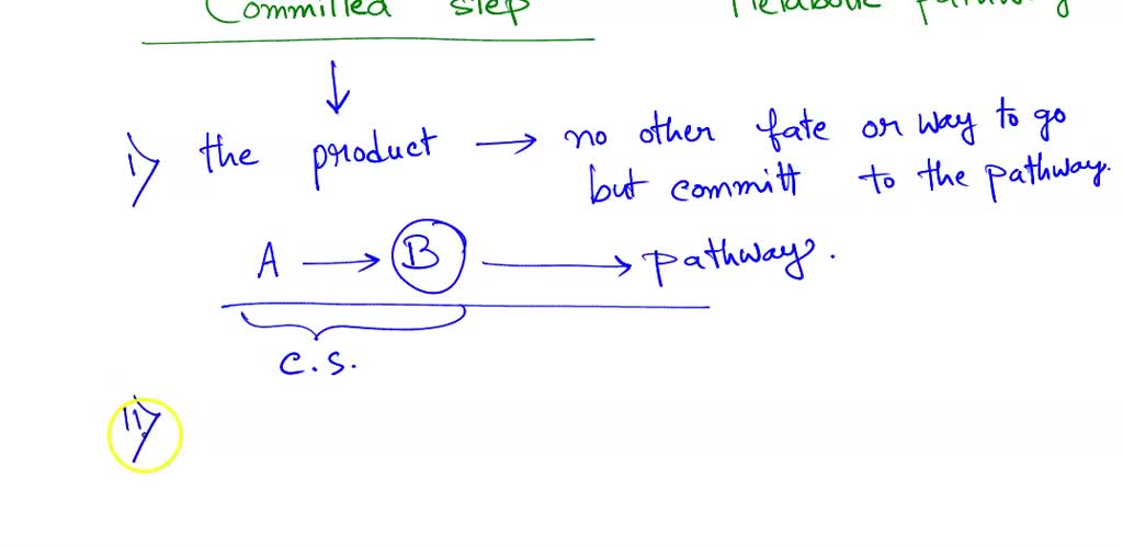 SOLVED: In a metabolic pathway, a reaction that best serves as a ...