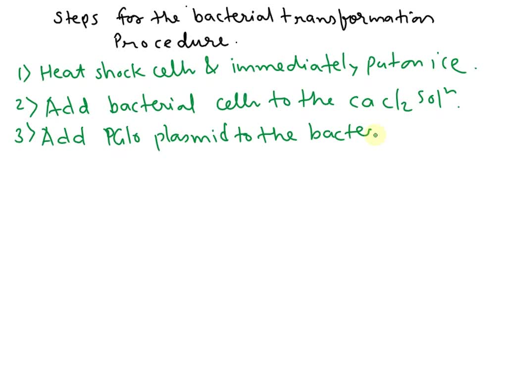 SOLVED: Older the steps for the bacterial transformation procedure ...