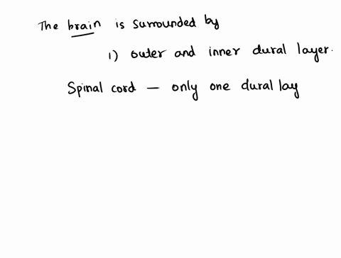 How is the cauda equina different from the rest of the...