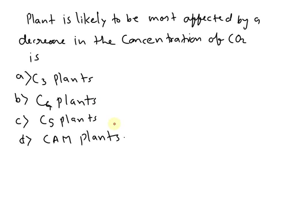 SOLVED: Which type of plant is likely to be most affected by a decrease ...