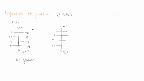 Glucose Fisher Projection