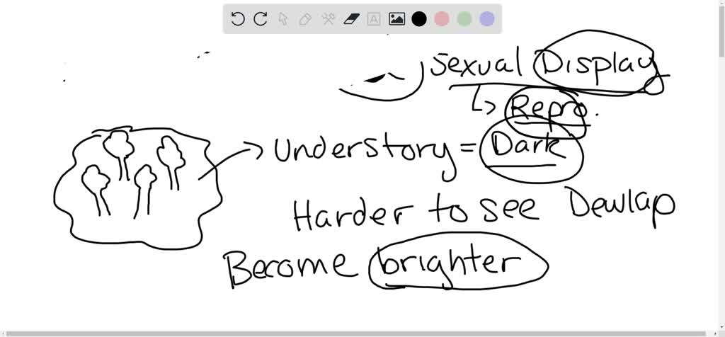 SOLVED: If a species of anoles with dark dewlaps colonized a heavily ...