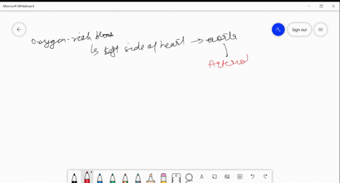 SOLVED: Which is the pattern of blood flow from the heart to the ...